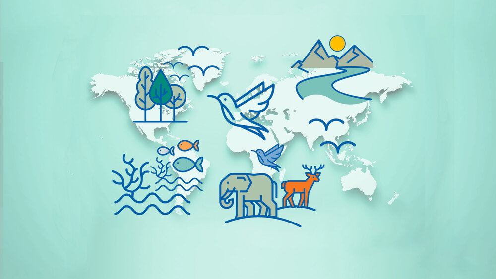 Global Ecosystems Atlas unveiled to transform ecosystems stewardship - GEO
